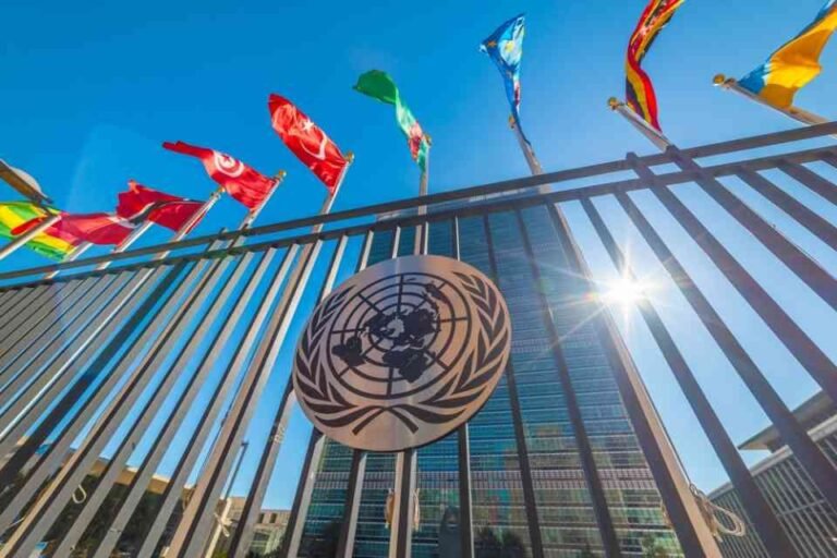 UN Career Guidance Centre | Build Your Career with the United Nations